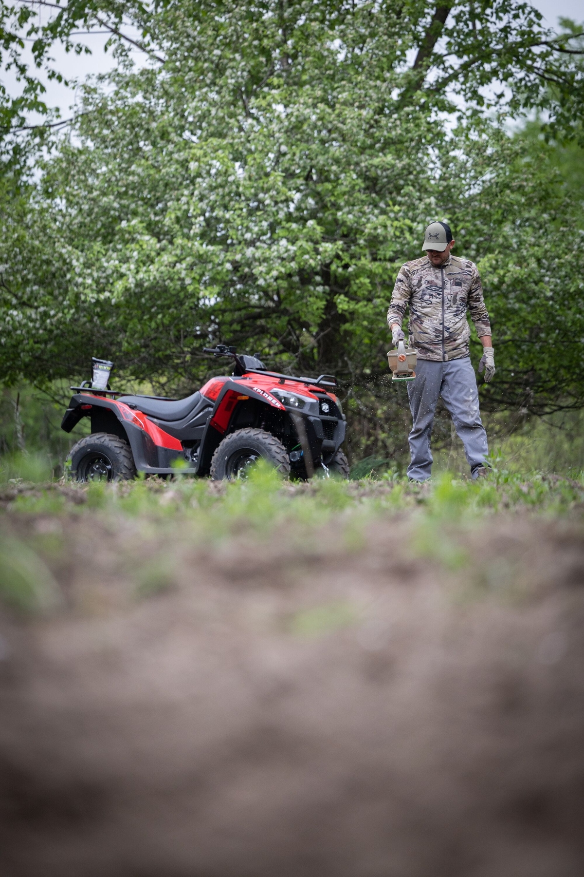 When to Plant Deer Food Plots | Hunter-ed.com™