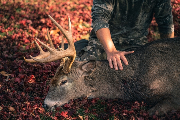 The Guide to Hunting in Oklahoma: Licensing and More | Hunter-ed.com™