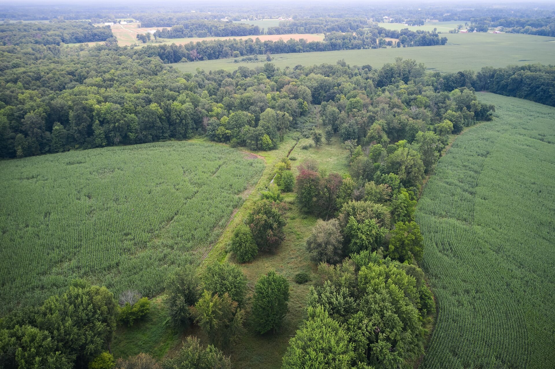 What Is a Hunting Lease and How They Work | Hunter-ed.com™