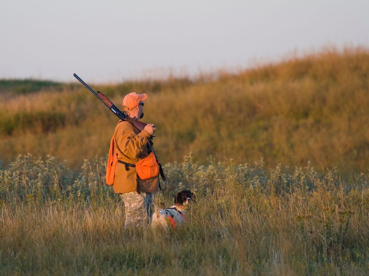 What is Upland Game (and What Can You Hunt)? | Hunter-ed.com™
