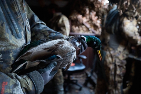 Waterfowl Hunting Tips for a Successful Hunt | Hunter-ed.com™