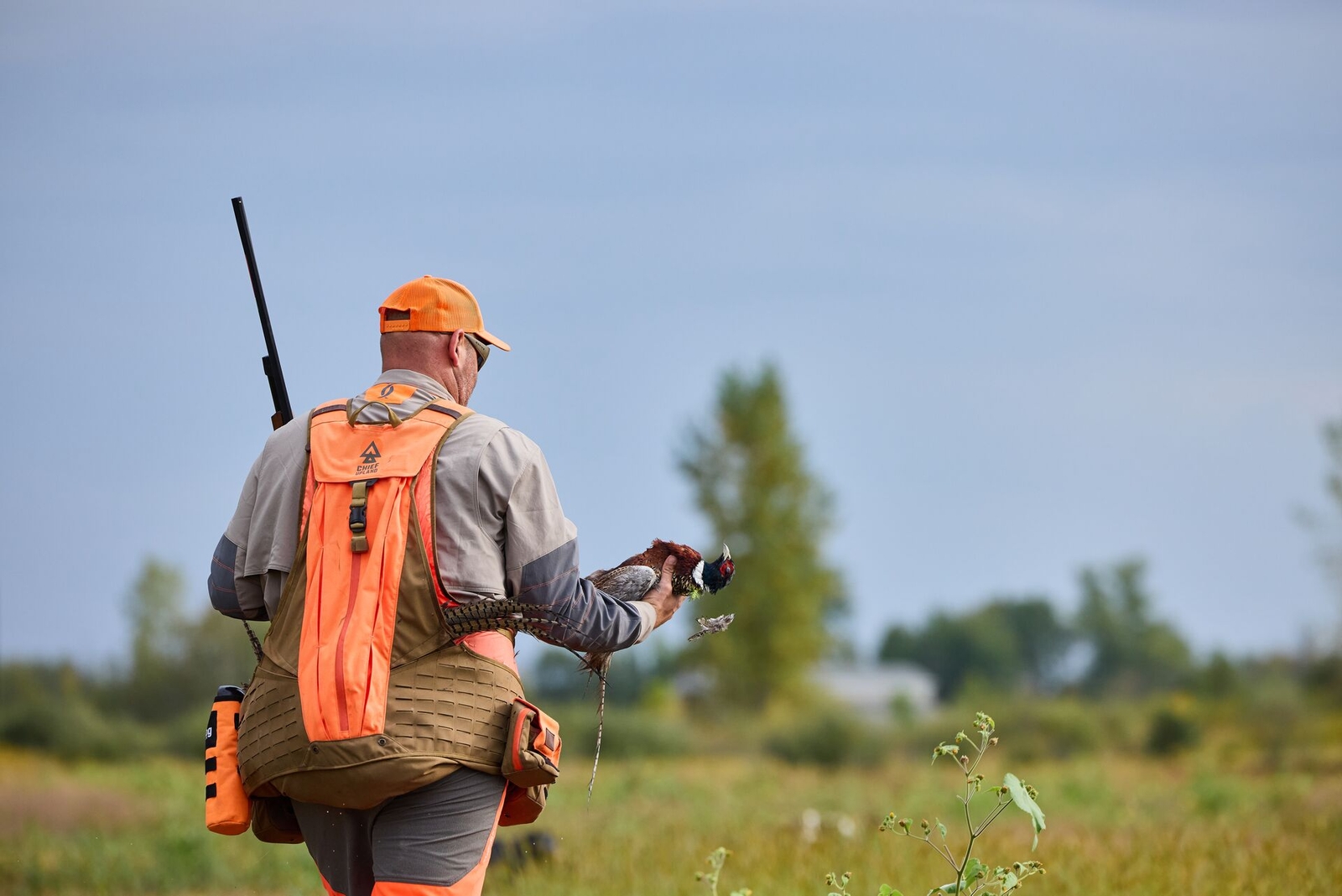 What Hunting Season is Open Right Now | Hunter-ed.com™