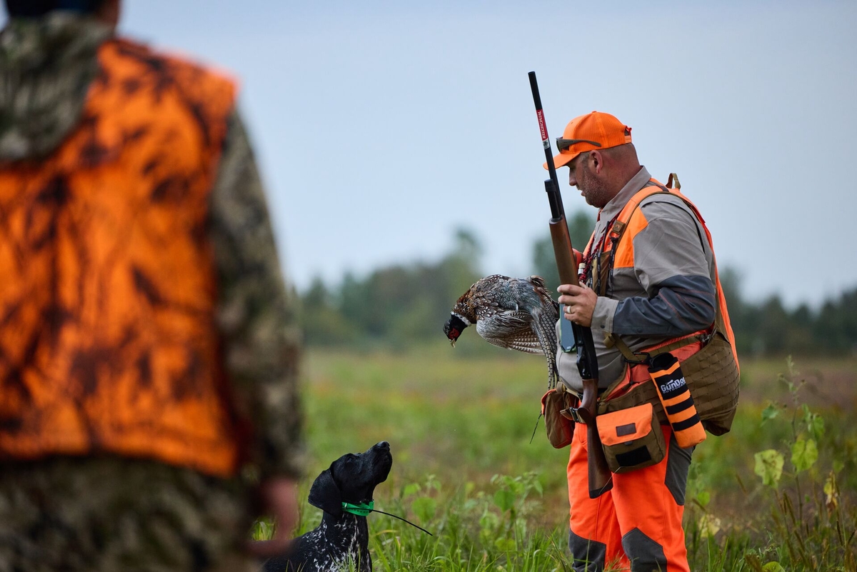 Pheasant Hunting Tips to Bag More Birds | Hunter-ed.com™