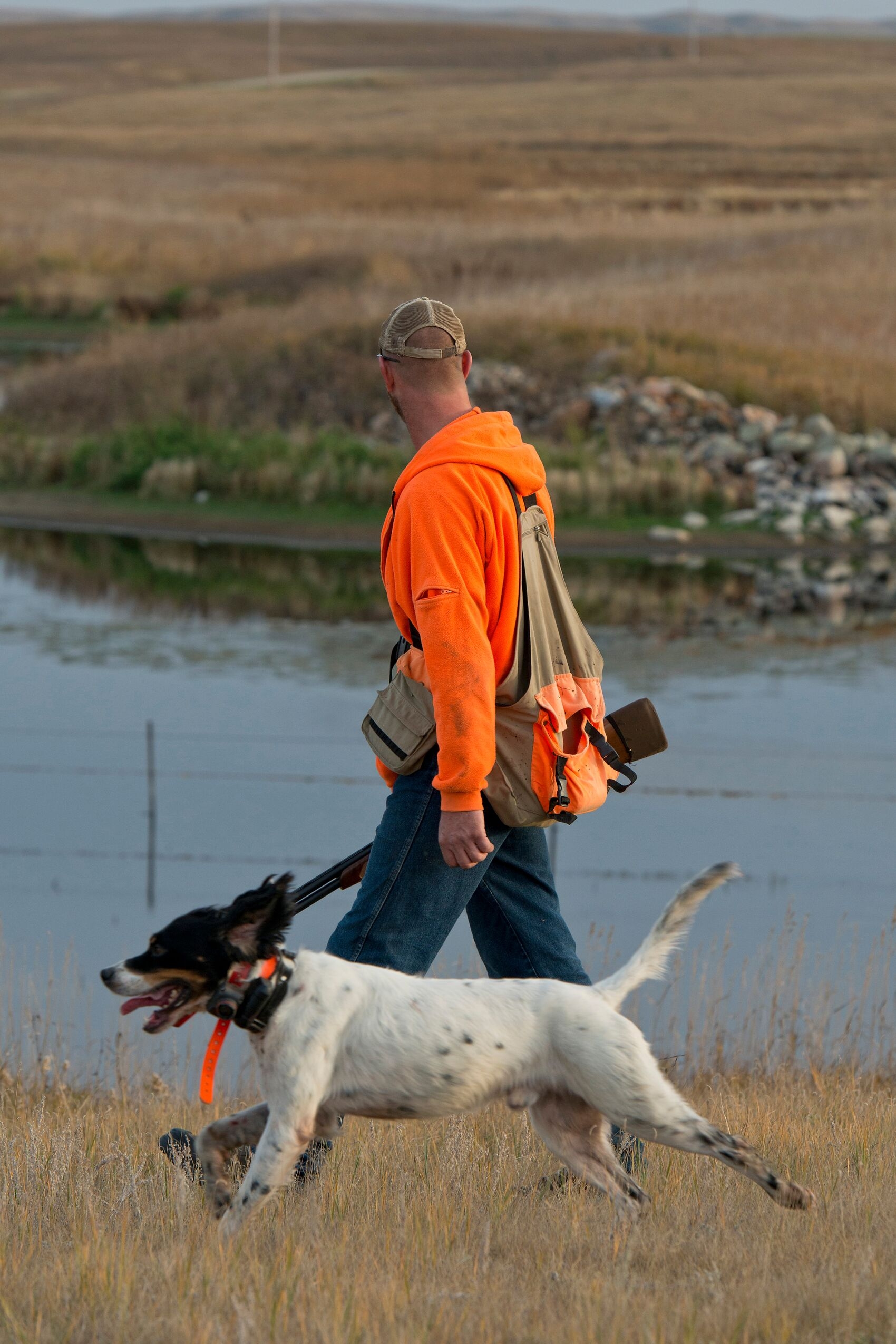 Guide to 2025 Montana Pheasant Season | Hunter-ed.com™
