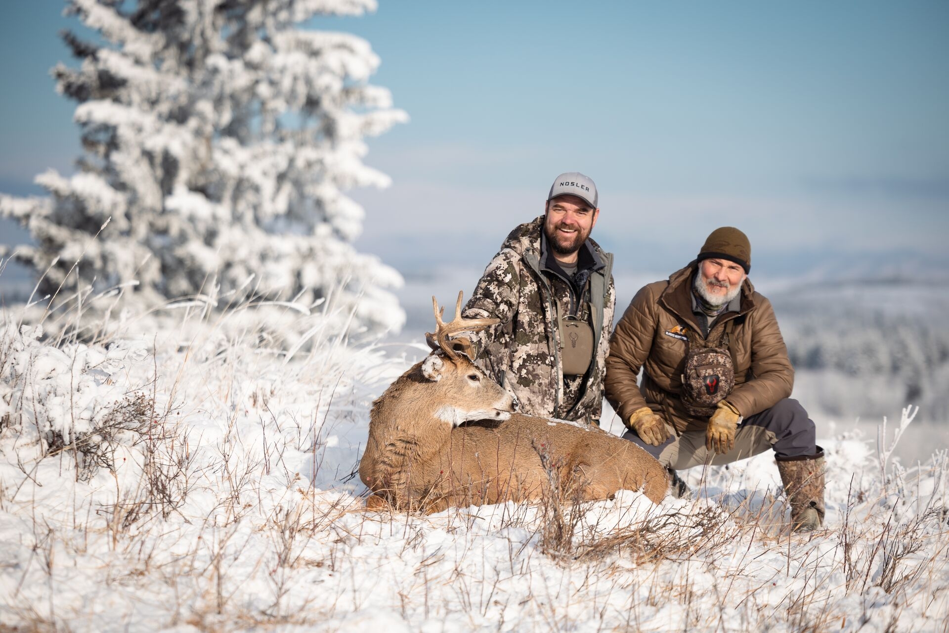 9 Late Season Deer Hunting Tips for Success | Hunter-ed.com™