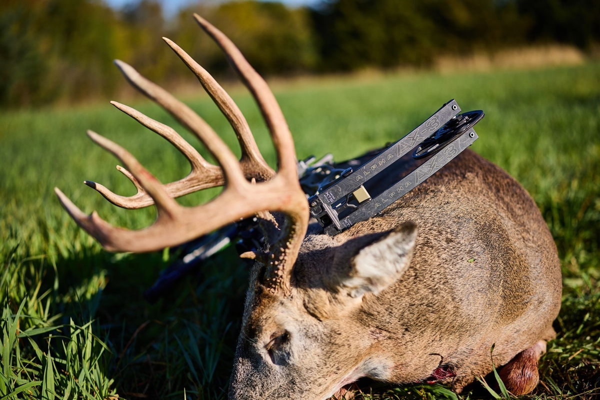 An Overview of Hunting Regulations: What They Are | Hunter-ed.com™