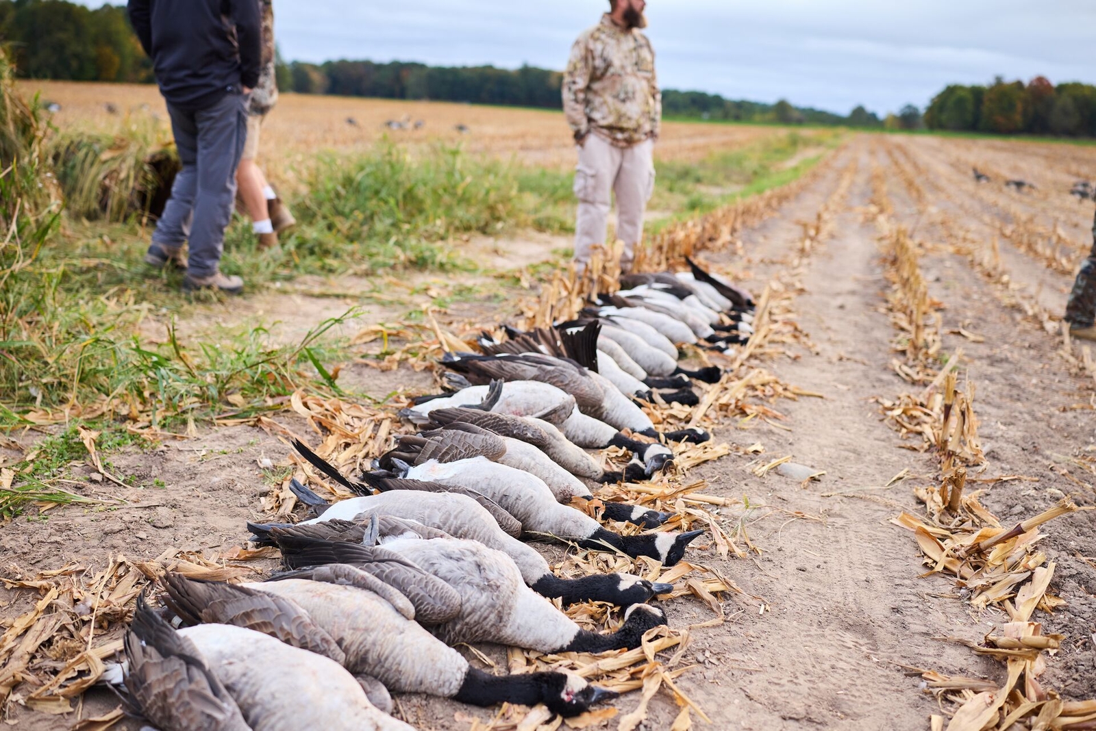 An Overview of Hunting Regulations: What They Are | Hunter-ed.com™