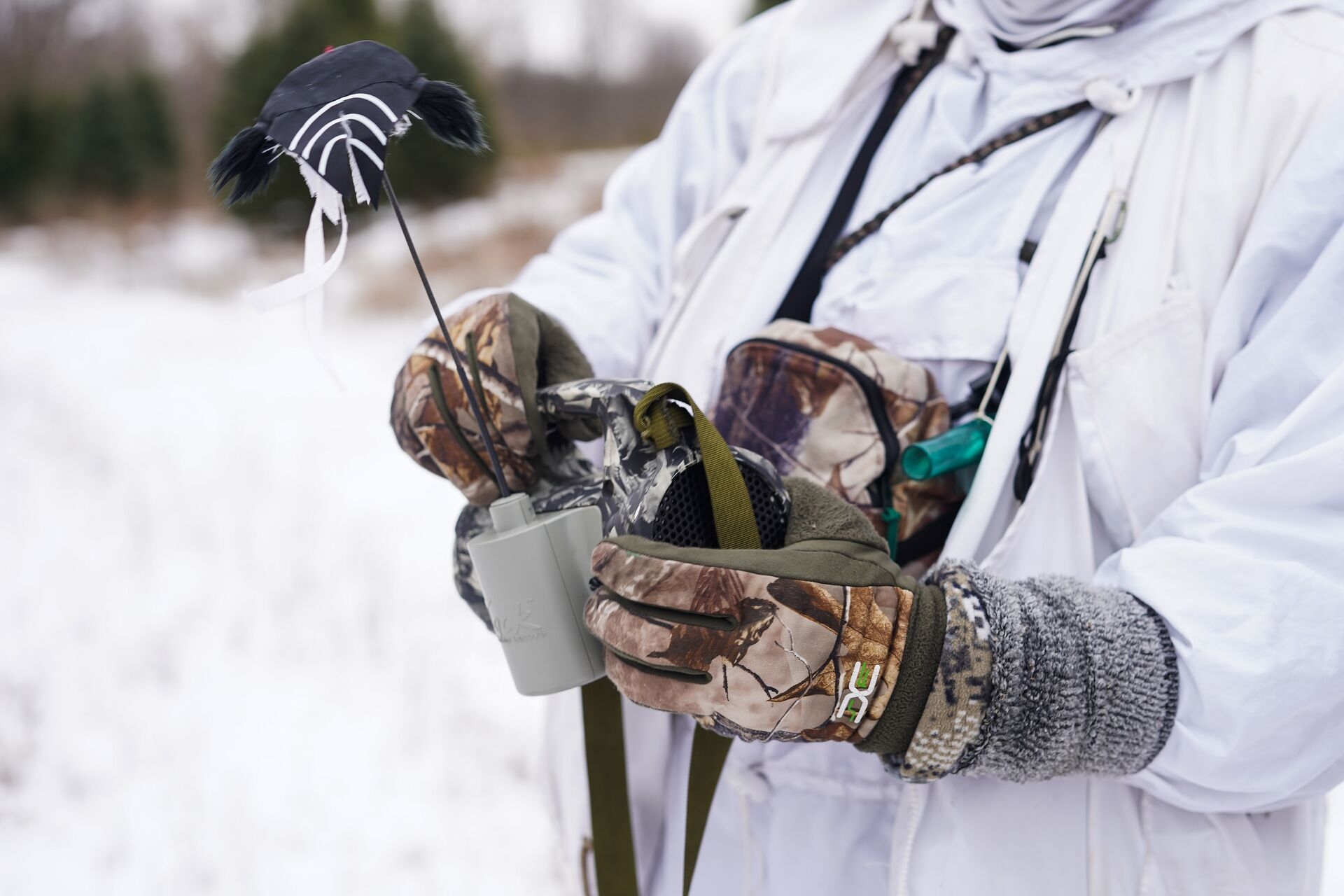 A Guide to Coyote Trapping Sets | Hunter-ed.com™