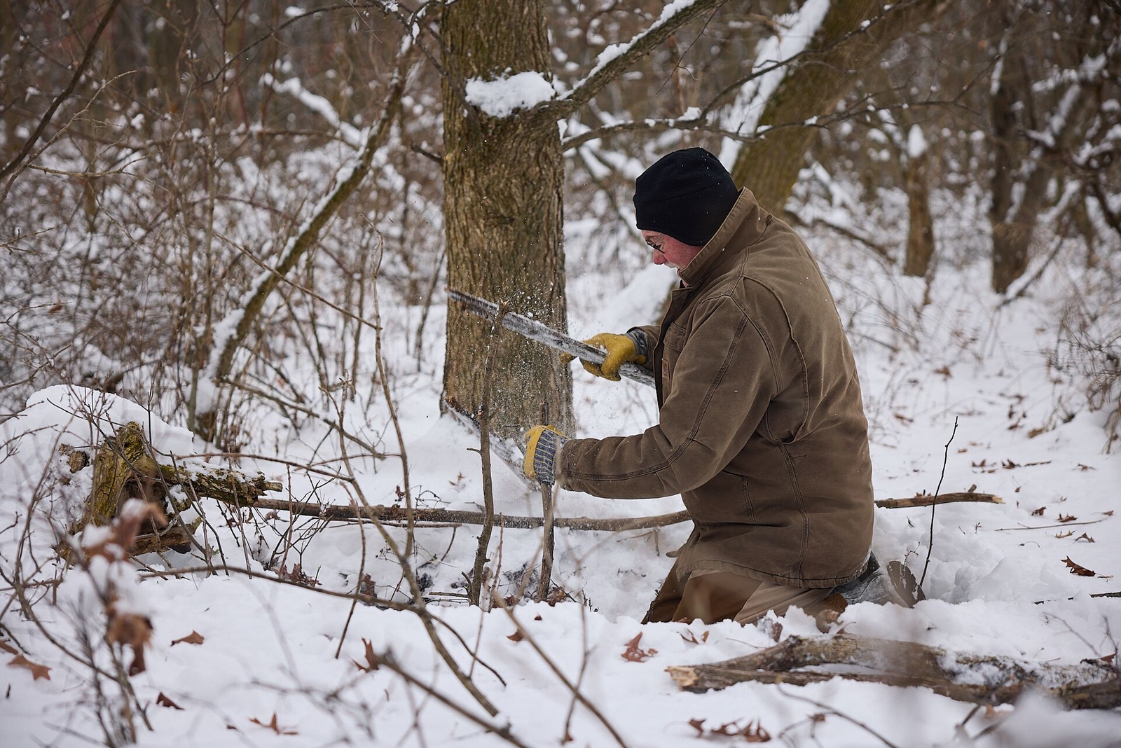 A Guide to Coyote Trapping Sets | Hunter-ed.com™
