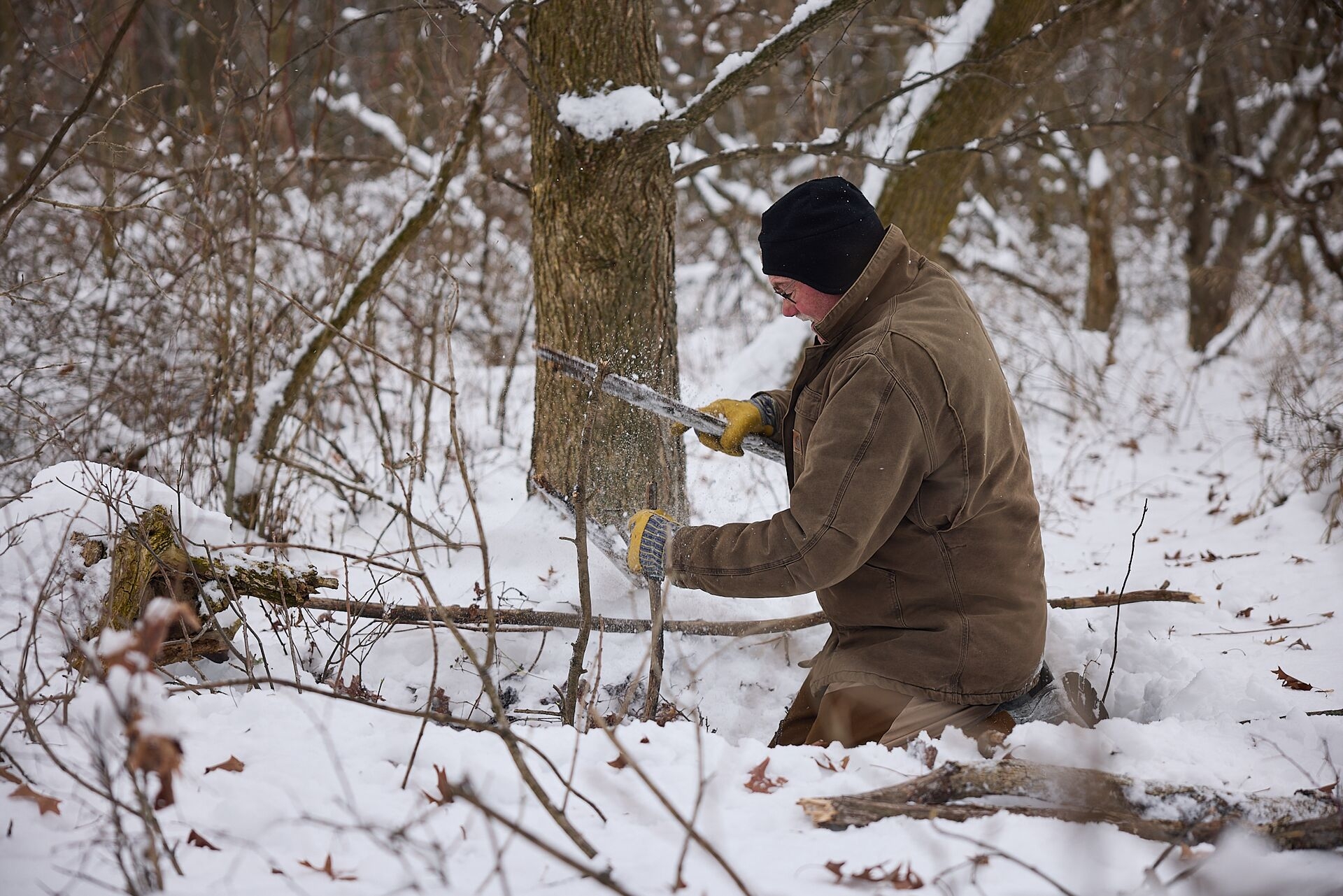 A Guide to Coyote Trapping Sets | Hunter-ed.com™