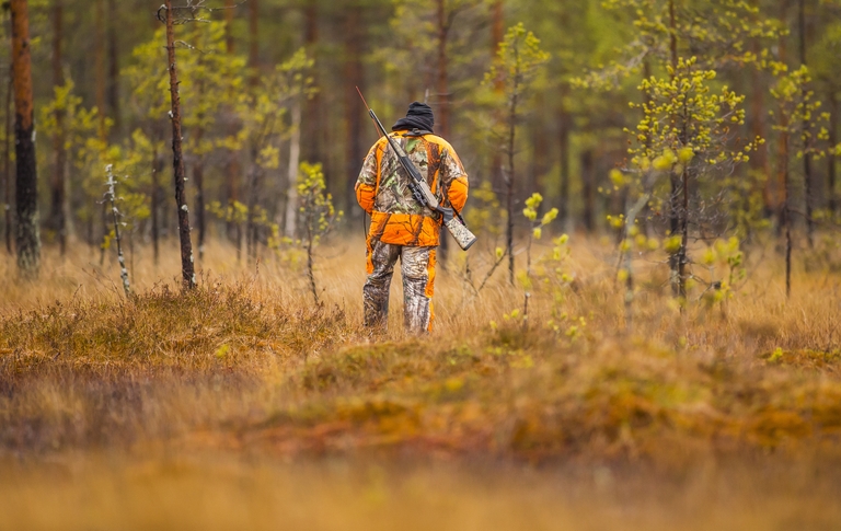 How Blaze Orange Saves Lives | Hunter-ed.com™
