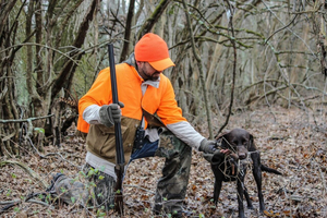 A Hunter’s Best Friend: A History of Hunting Dogs | Hunter-ed.com™