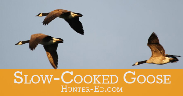Wild Game Recipes: Slow-Cooked Goose | Hunter-ed.com™