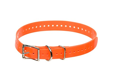 Blaze Orange for Your Hunting Dog | Hunter-ed.com™