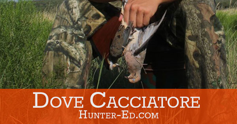 Wild Game Recipes: Dove Cacciatore | Hunter-ed.com™